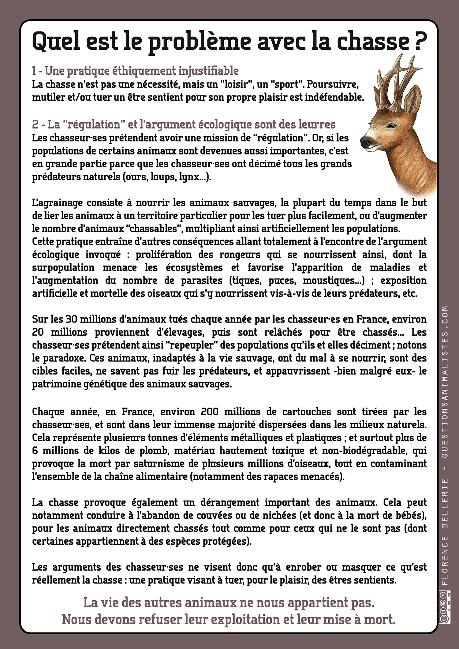 Chasse – Questions animalistes