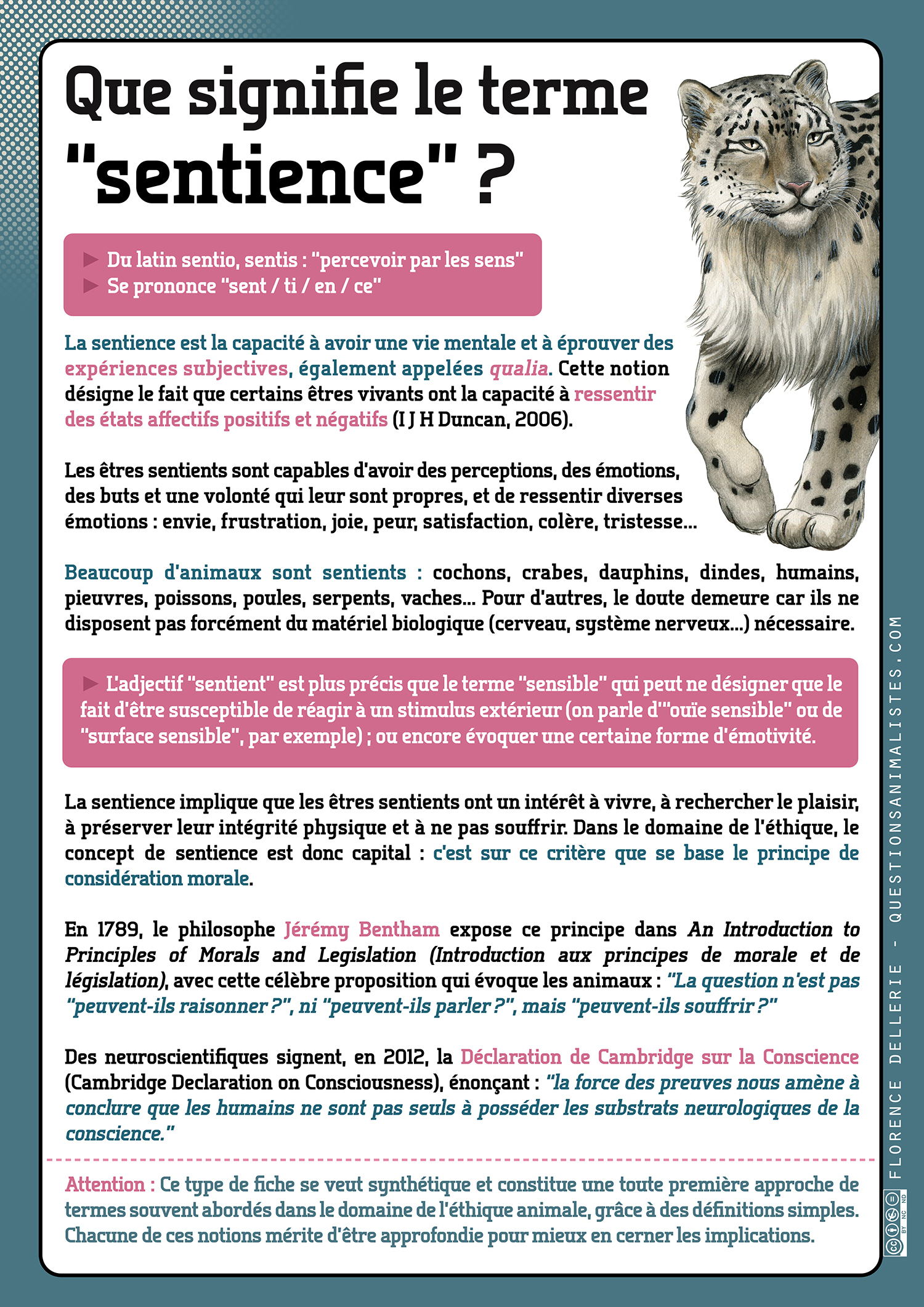 Que signifie le terme « sentience » ? – Questions animalistes